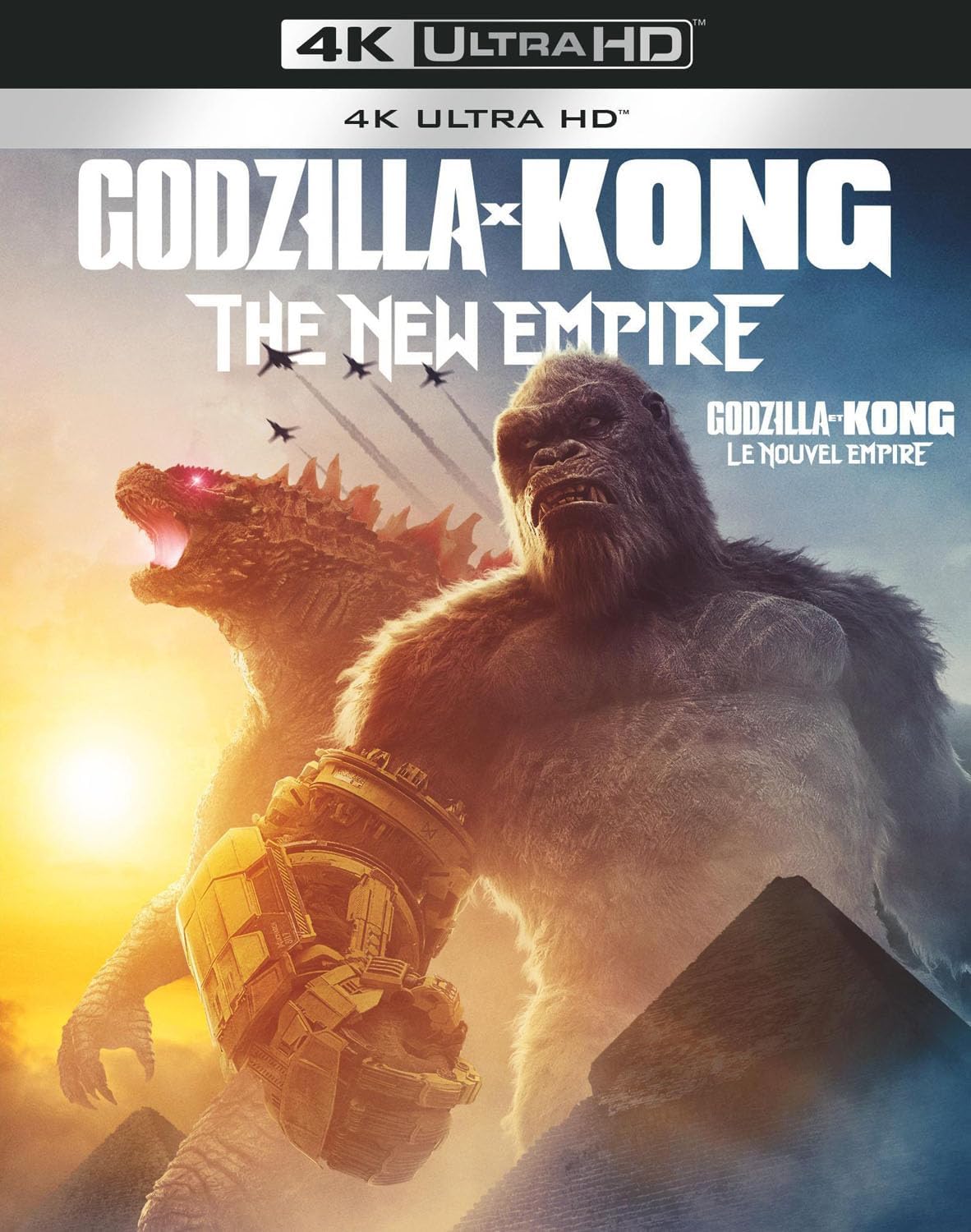 Godzilla Kong Blu-Ray à vendre - Vidéo Centre-Ville - Film Québec